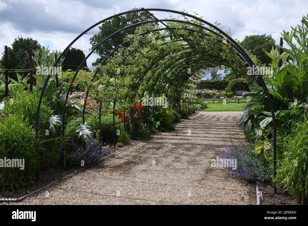 Archways of fruit Stock Photo - Alamy