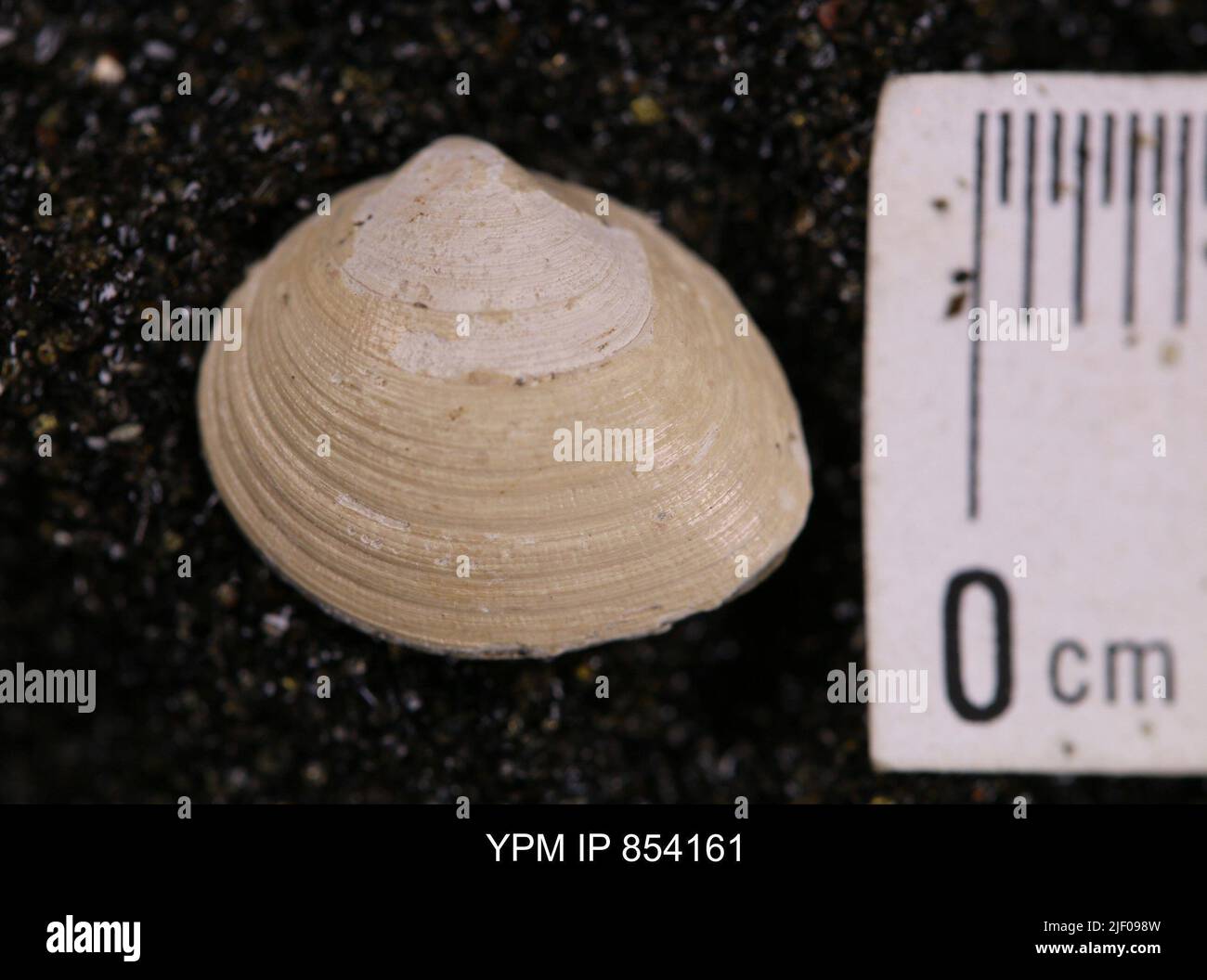 With classification markings hi-res stock photography and images - Alamy