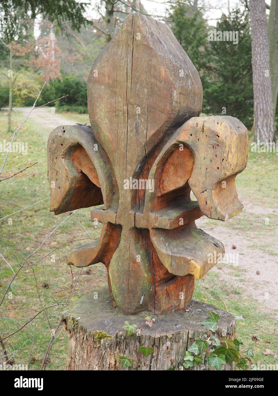 A vertical shot of a wooden lily cut with a chainsaw from a tree stump ...