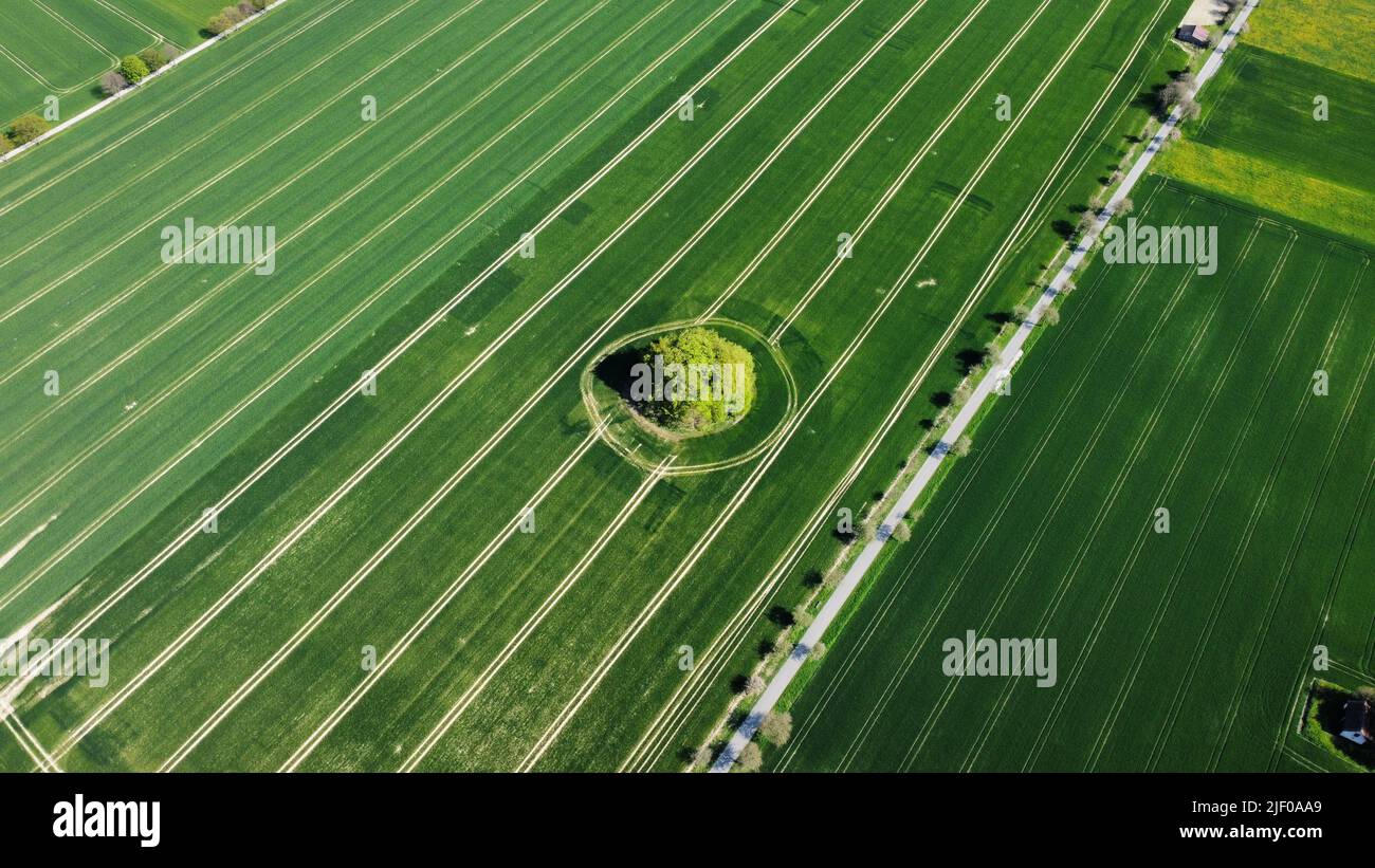 An aerial shot of cultivated green fields with a greenery circle in the ...