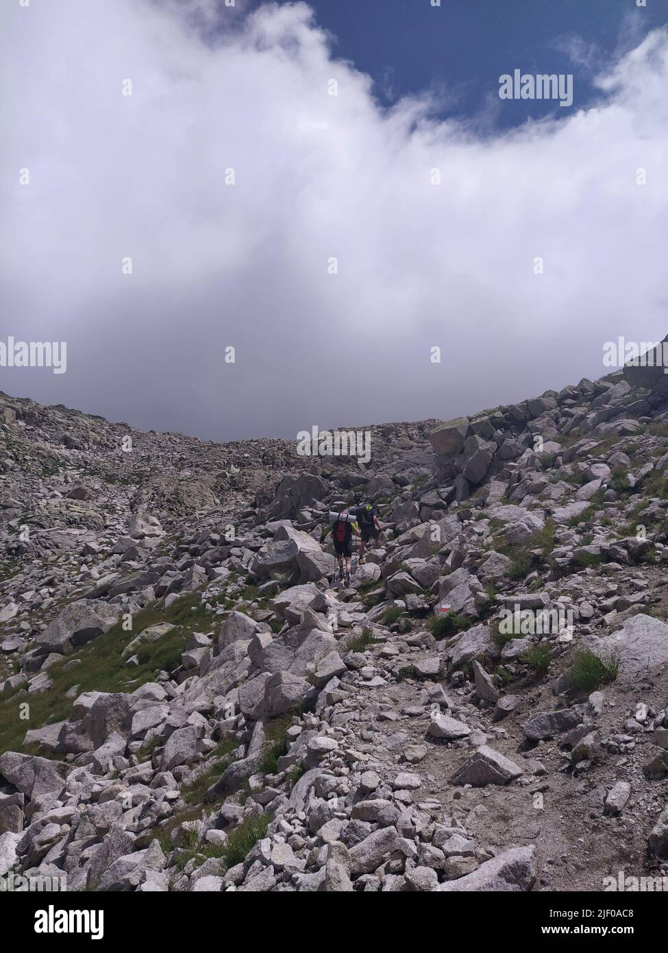 Cima d’Asta is the highest mountain of the Fiemme Mountains in the ...