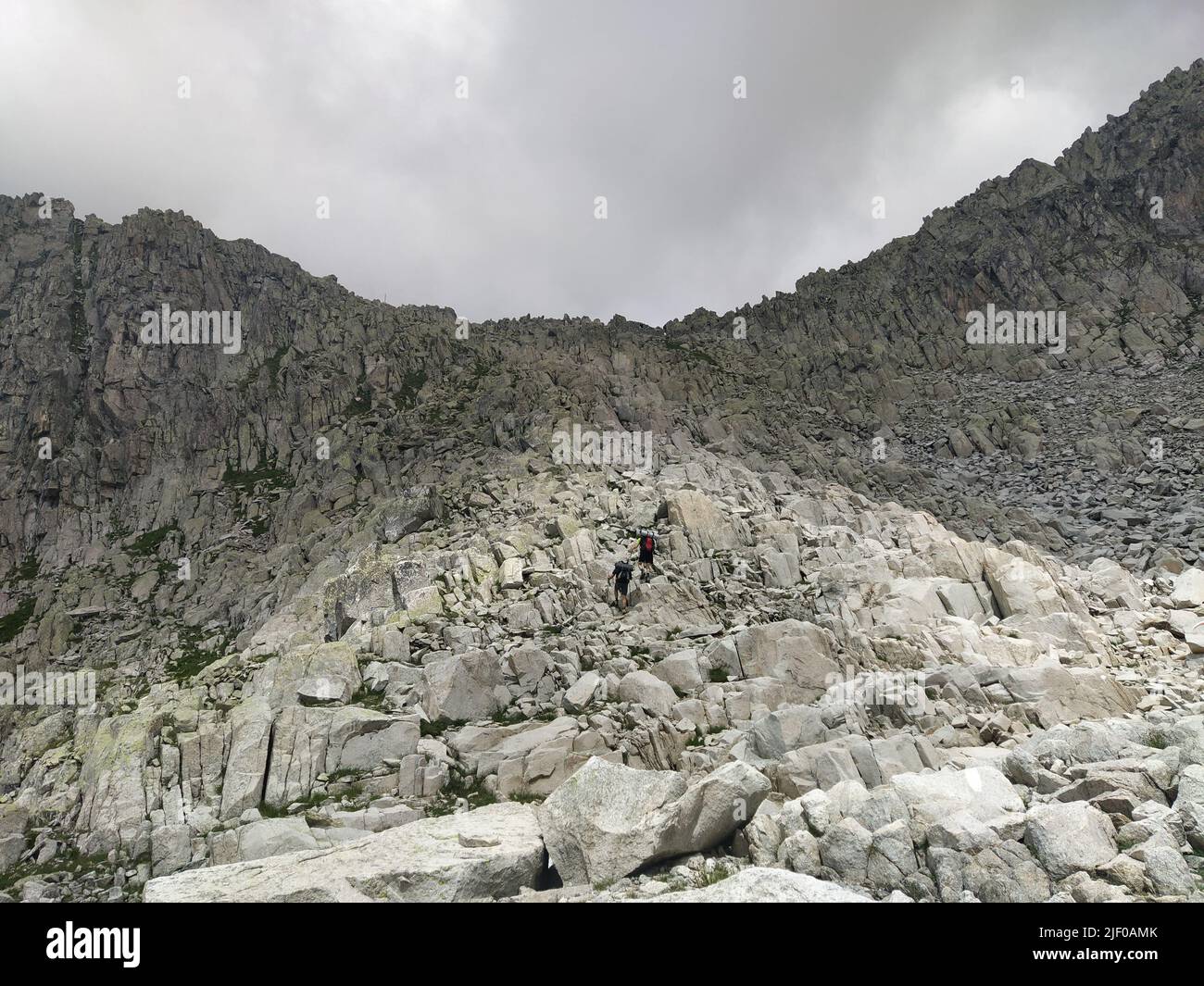 Cima d’Asta is the highest mountain of the Fiemme Mountains in the ...