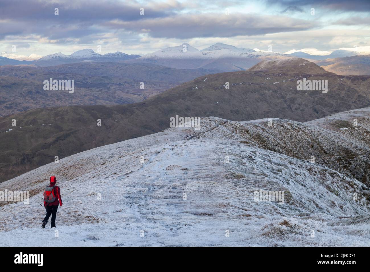 A walker heading North West from the summit of Ben Ledi in the ...
