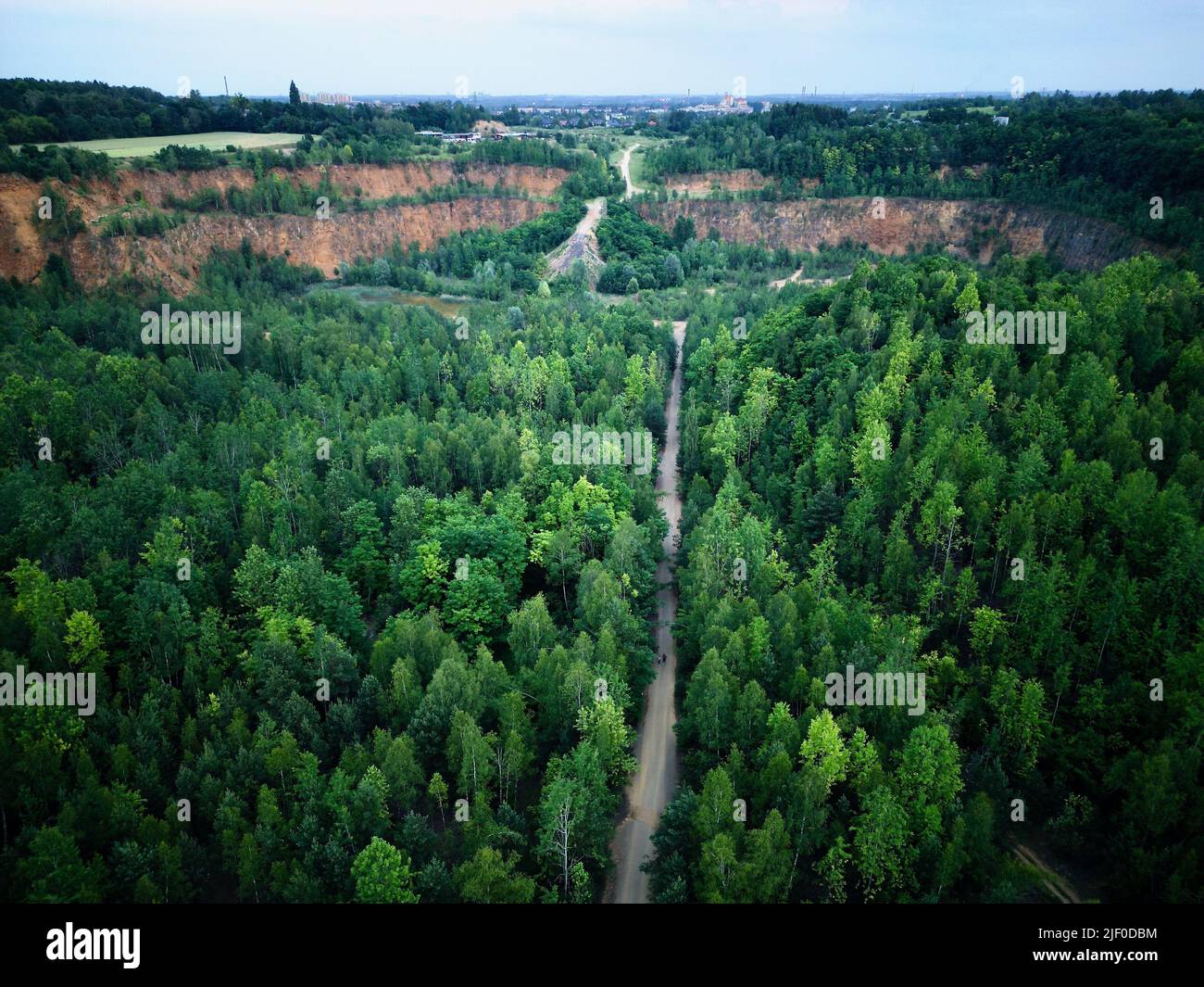 The bird's eye view of the summer landscape with green trees in the ...