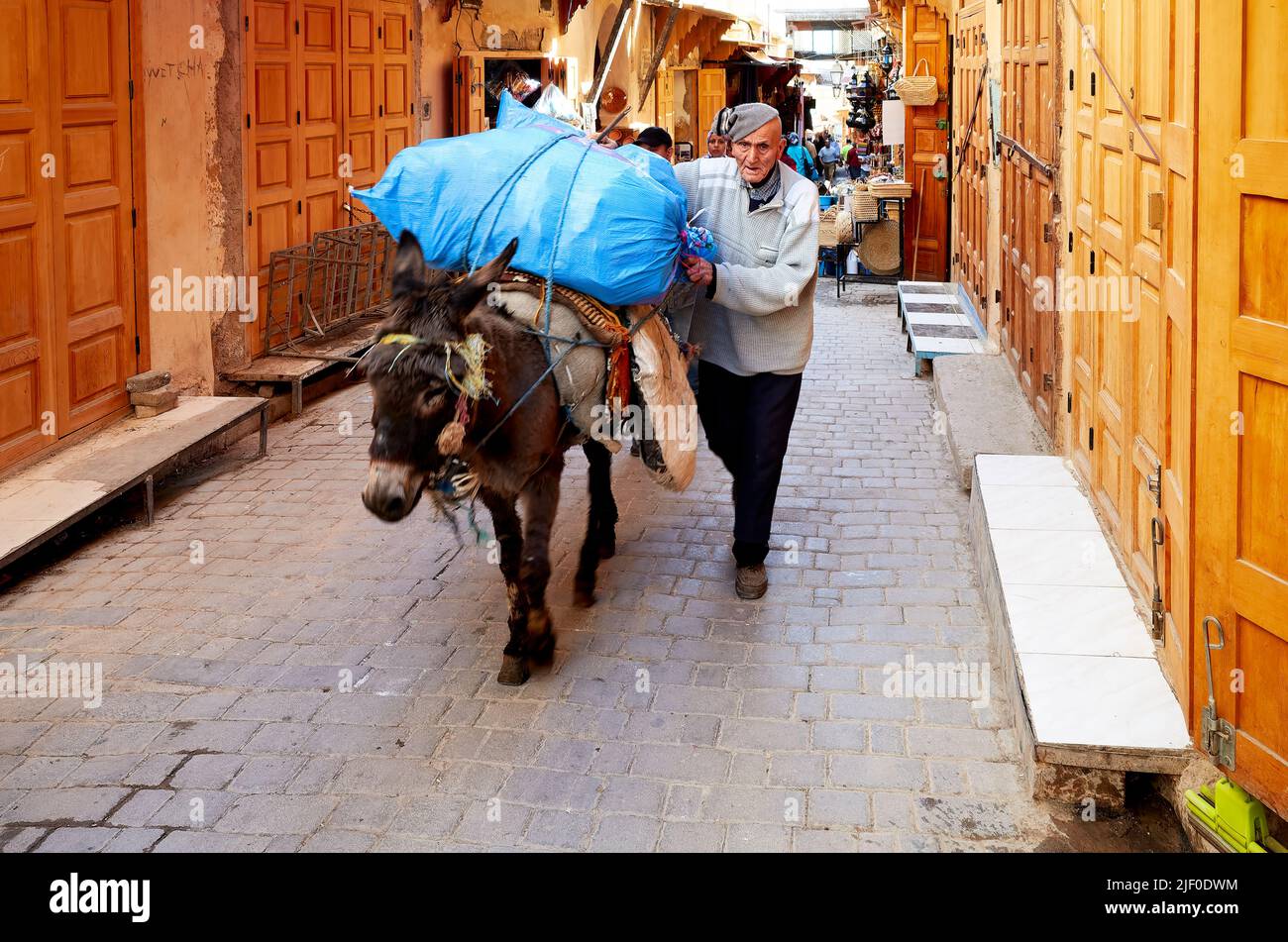 Morocco Fez. Donkey carrying heavy load in the Medina Stock Photo - Alamy