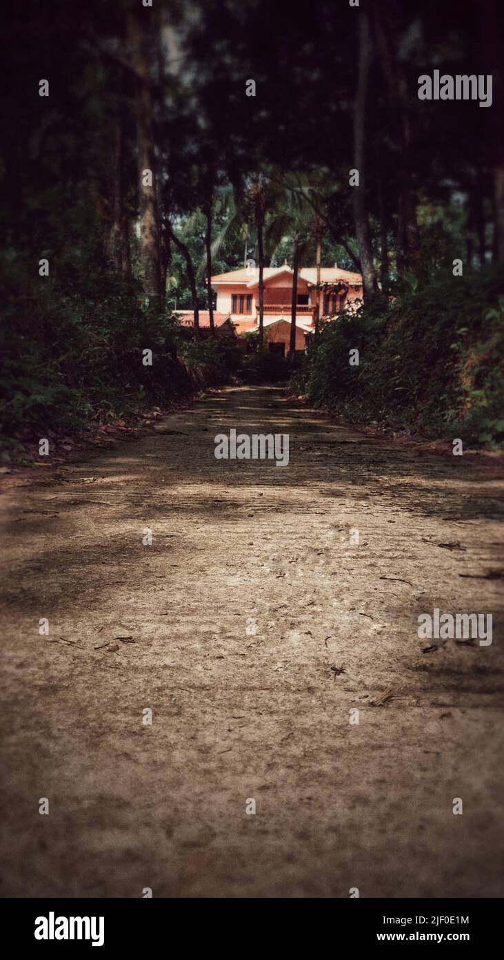 A few basic photos by a beginner Stock Photo - Alamy