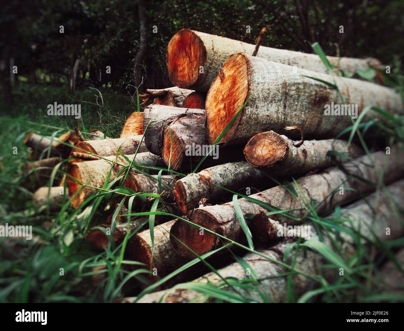 A few basic photos by a beginner Stock Photo - Alamy