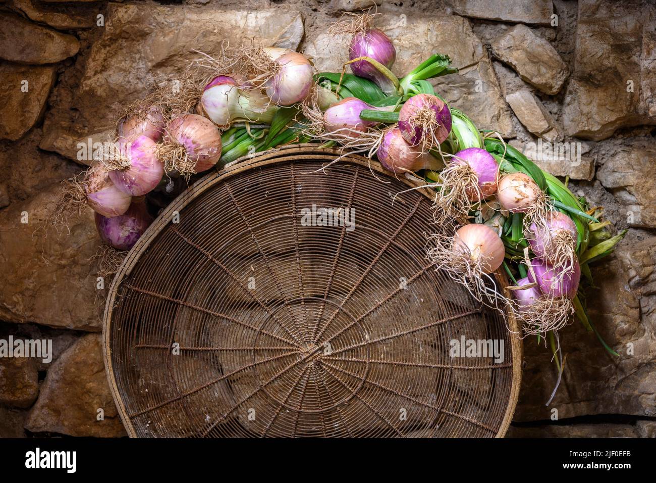 Long red florence onions drying on an old sieve against an old stone ...