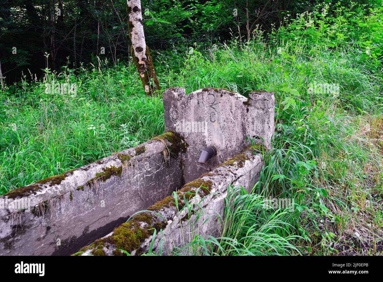 Military drinking trough hi-res stock photography and images - Alamy