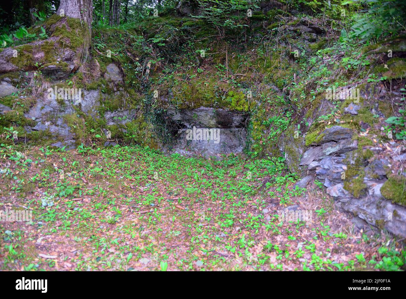 Italy, Friuli Venezia Giulia, But Valley, Paluzza. The Alpine Wall ...