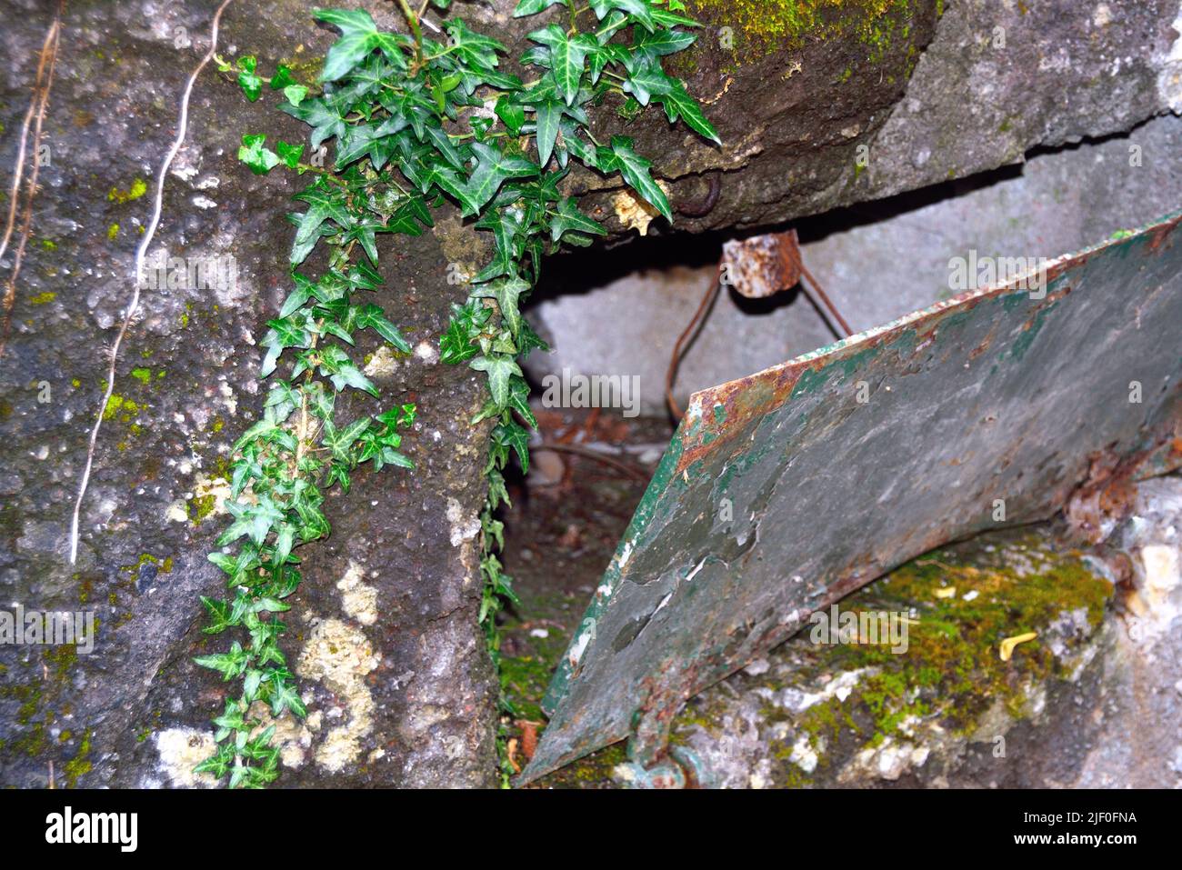 Italy, Friuli Venezia Giulia, But Valley, Paluzza. The Alpine Wall ...