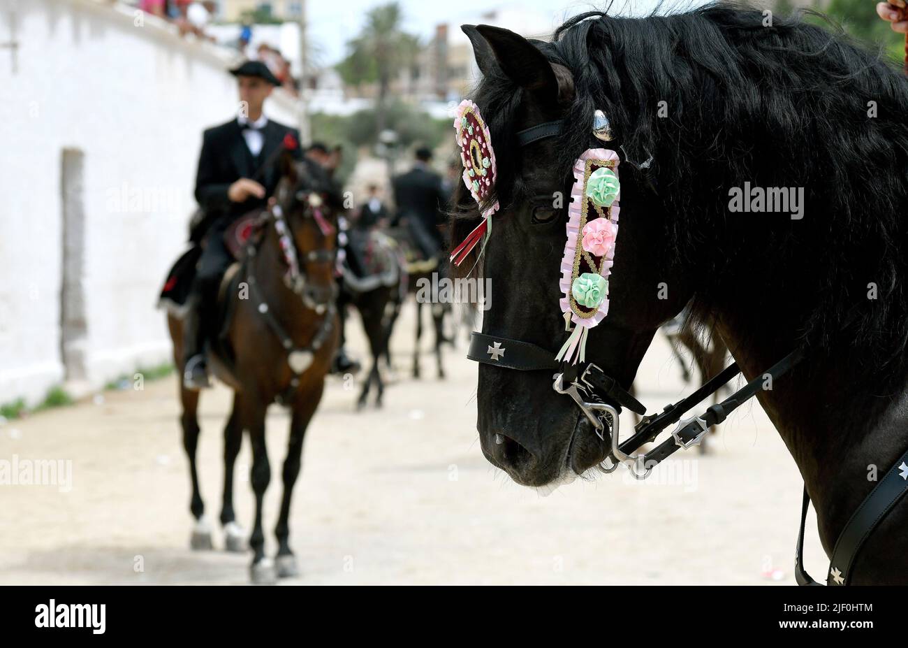 Festivities of Sant Joan in Ciutadella, Menorca. The horses run through ...