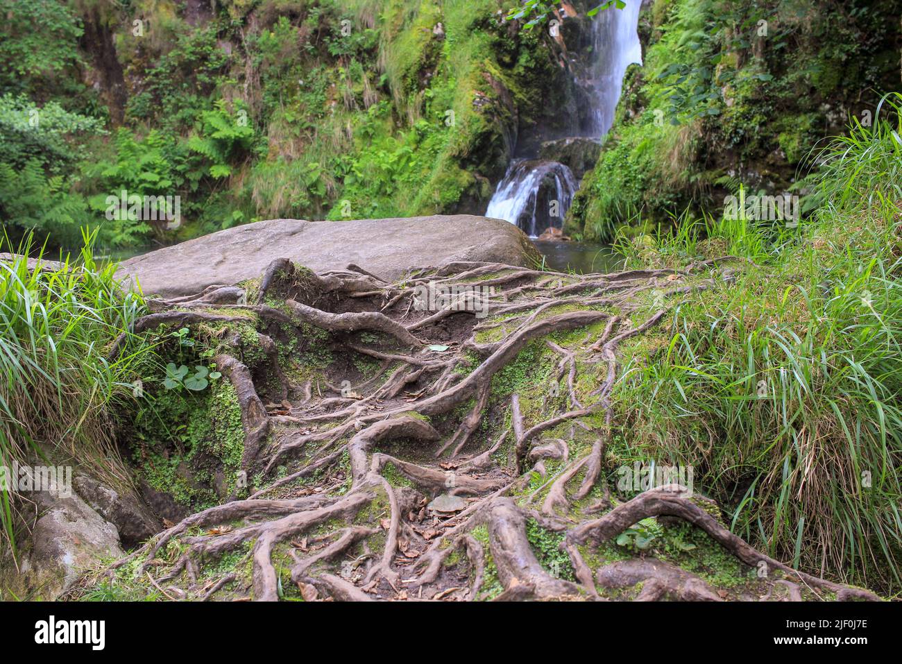 Old mountain path waterfall hi-res stock photography and images - Alamy