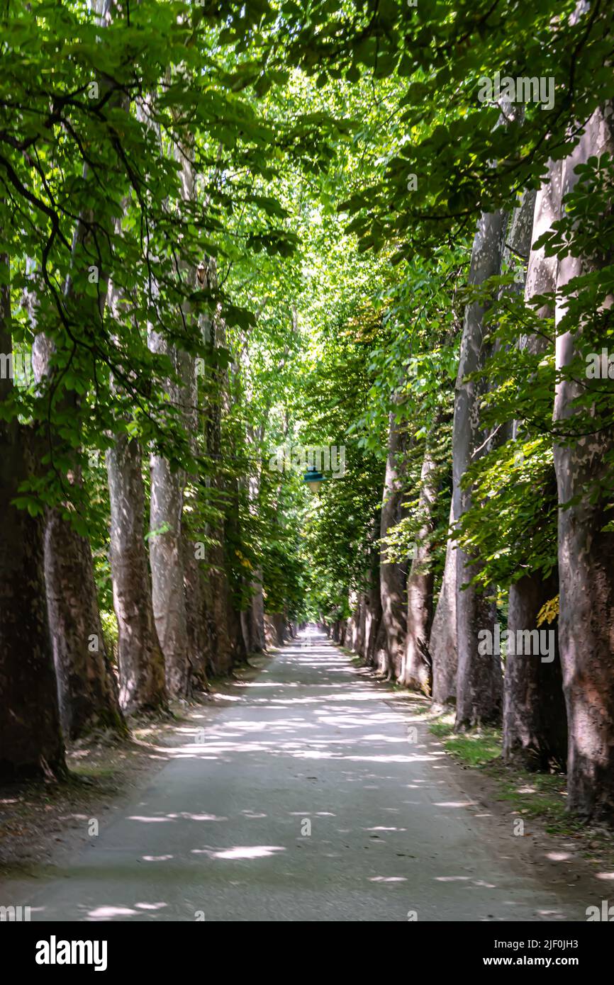 Velika aleja hi-res stock photography and images - Alamy