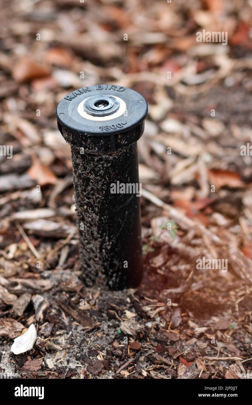 A vertical shot of underground sprinkler Stock Photo - Alamy