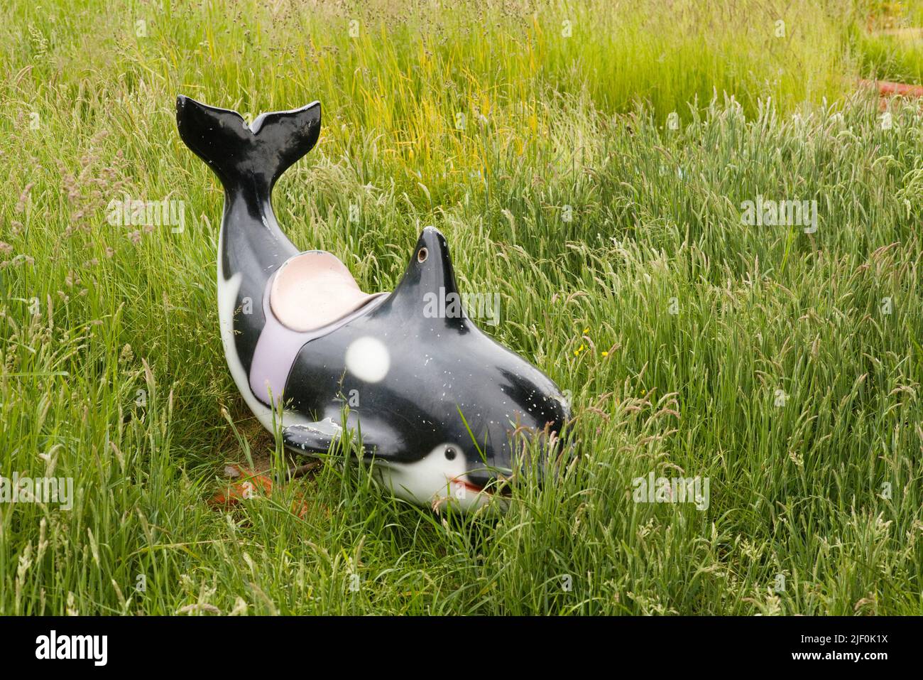 A broken childs playground dolphin lies abandoned in weeds on an ...