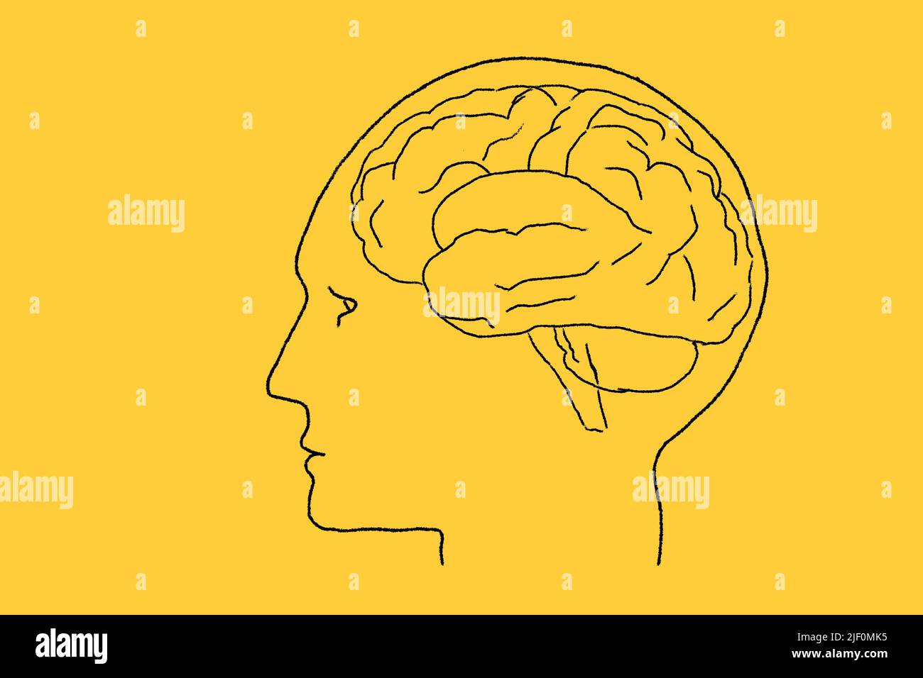 Human head with brain drawing on yellow background Stock Photo - Alamy