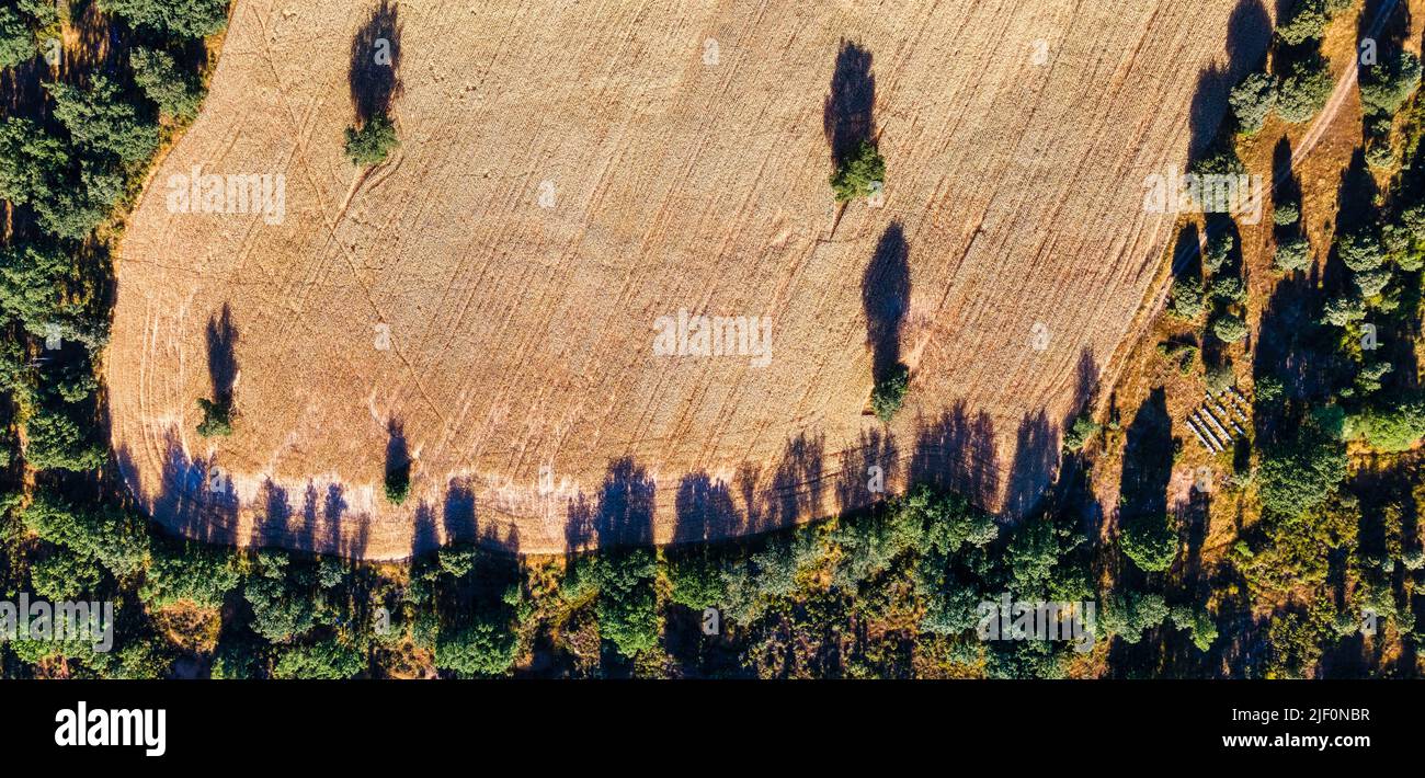 Aerial aerial view of arable fields and surrounding trees. Background ...