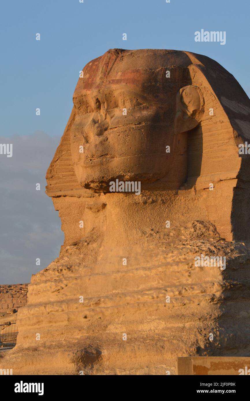The Sphinx Glows In The Early Morning Sun At Giza Stock Photo - Alamy