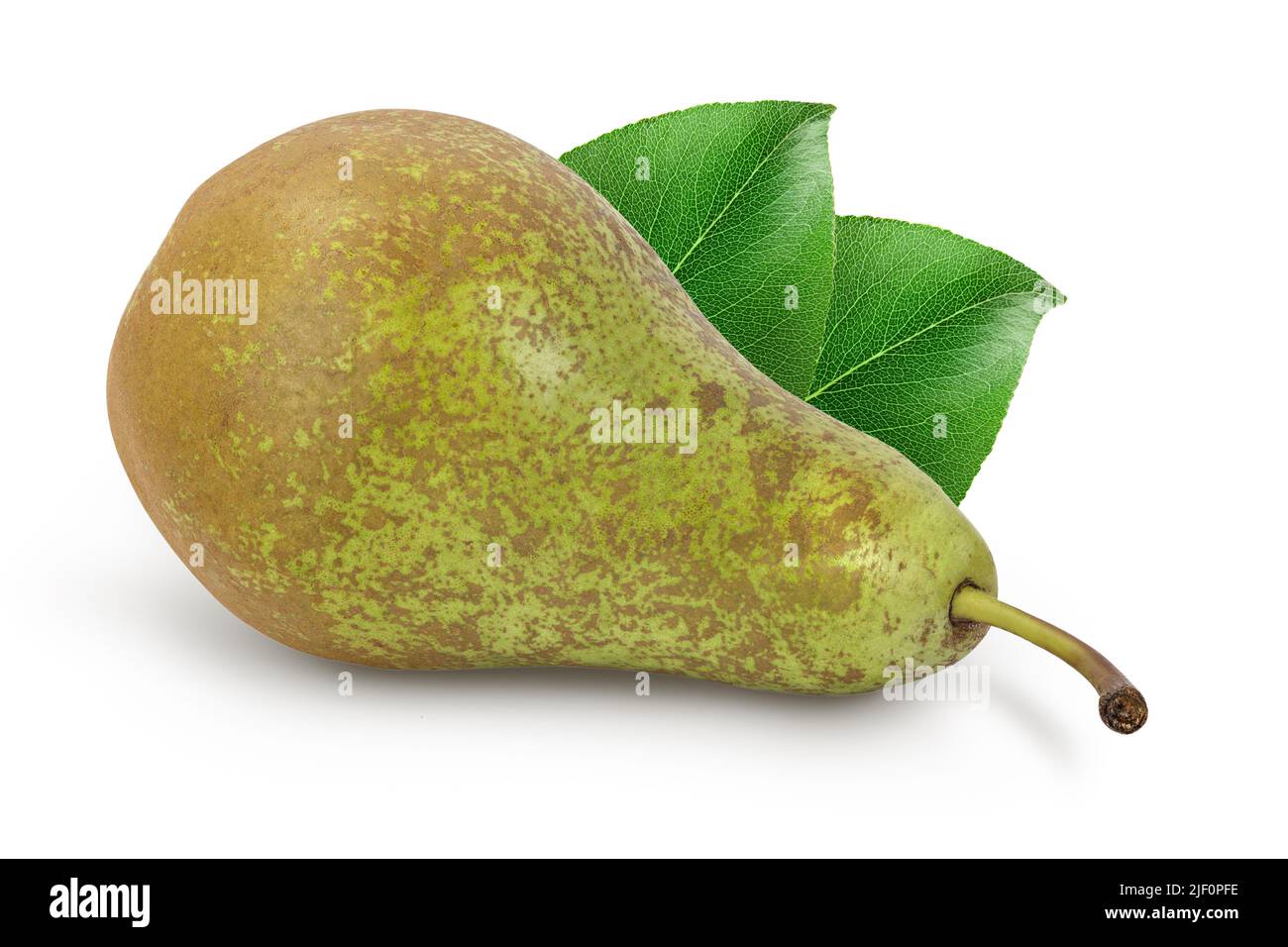 Green conference pear isolated on white background with full depth of ...