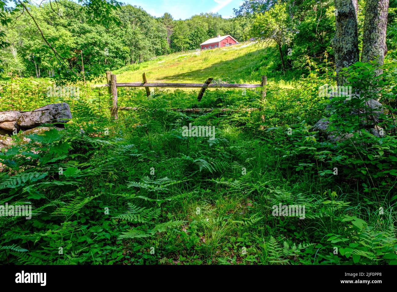 Backroad a hi-res stock photography and images - Alamy