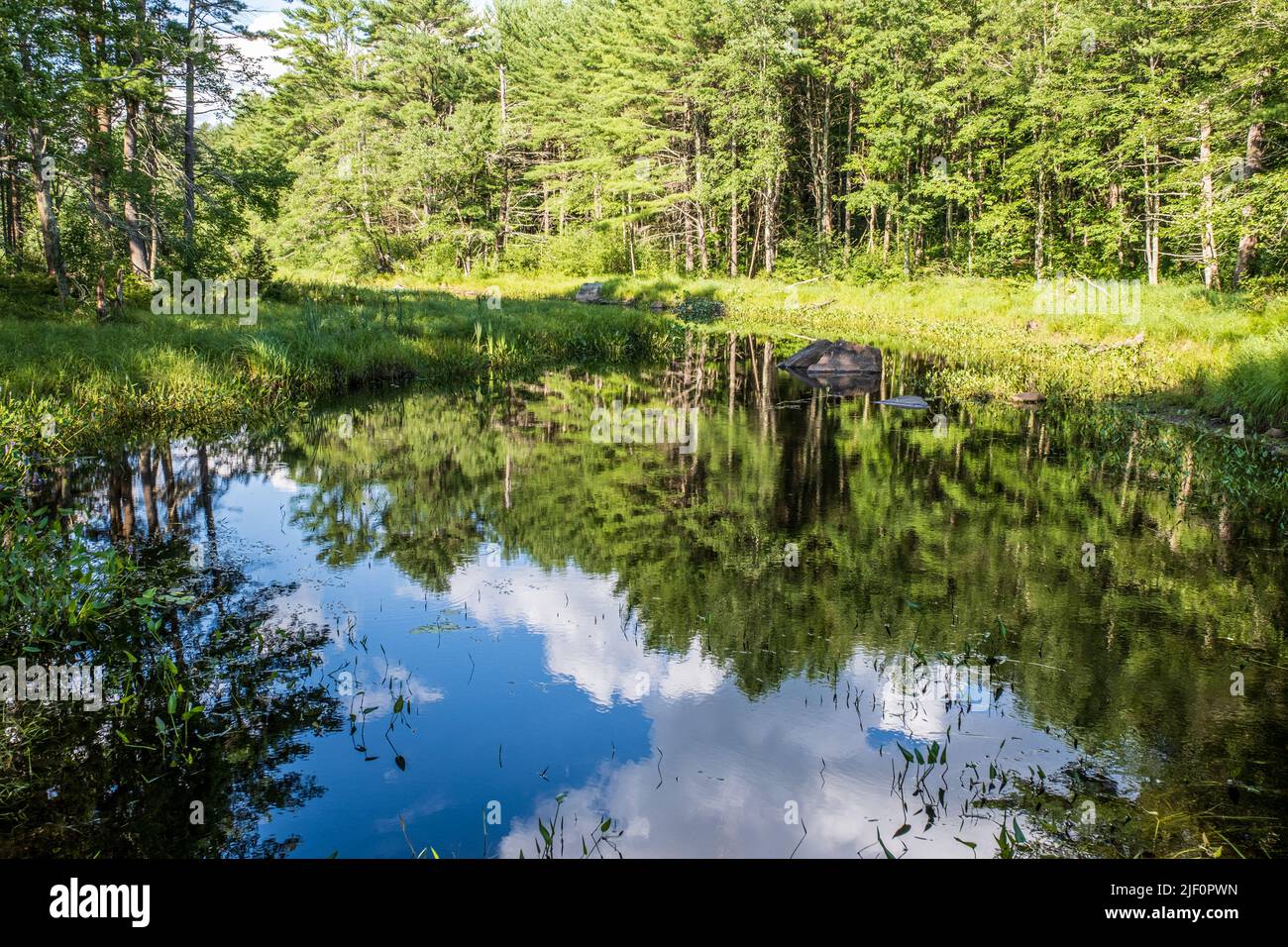 The East Branch of the Swift River in Petersham, Massachusetts Stock ...