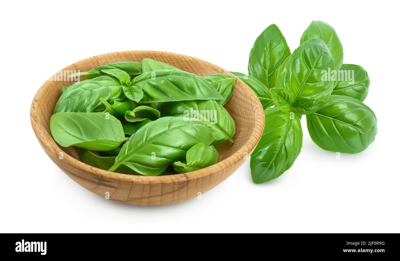 Fresh basil leaf in wooden bowl isolated on white background with full ...