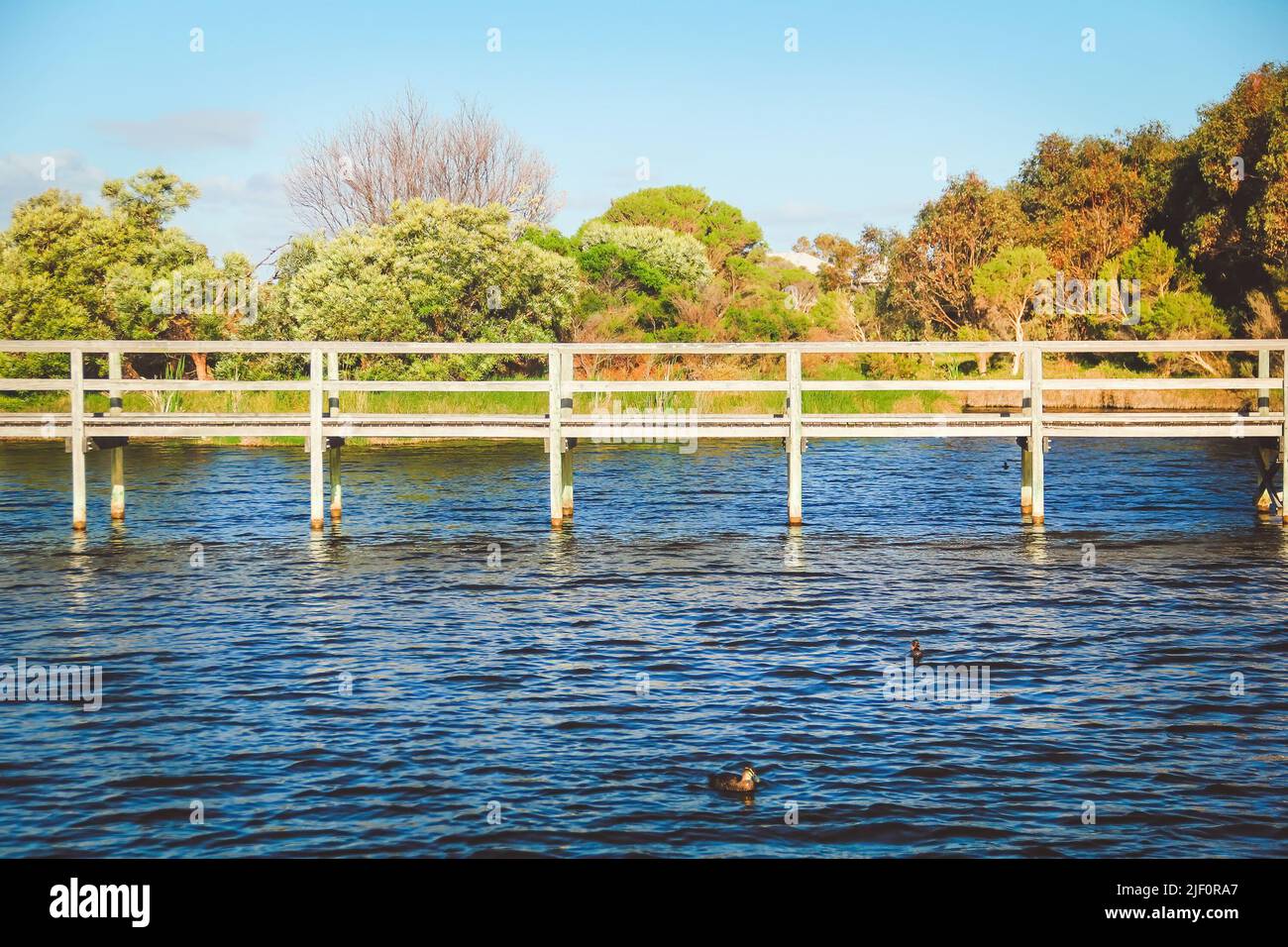 Beautiful calm lake in Bunbury, West Australia Stock Photo - Alamy
