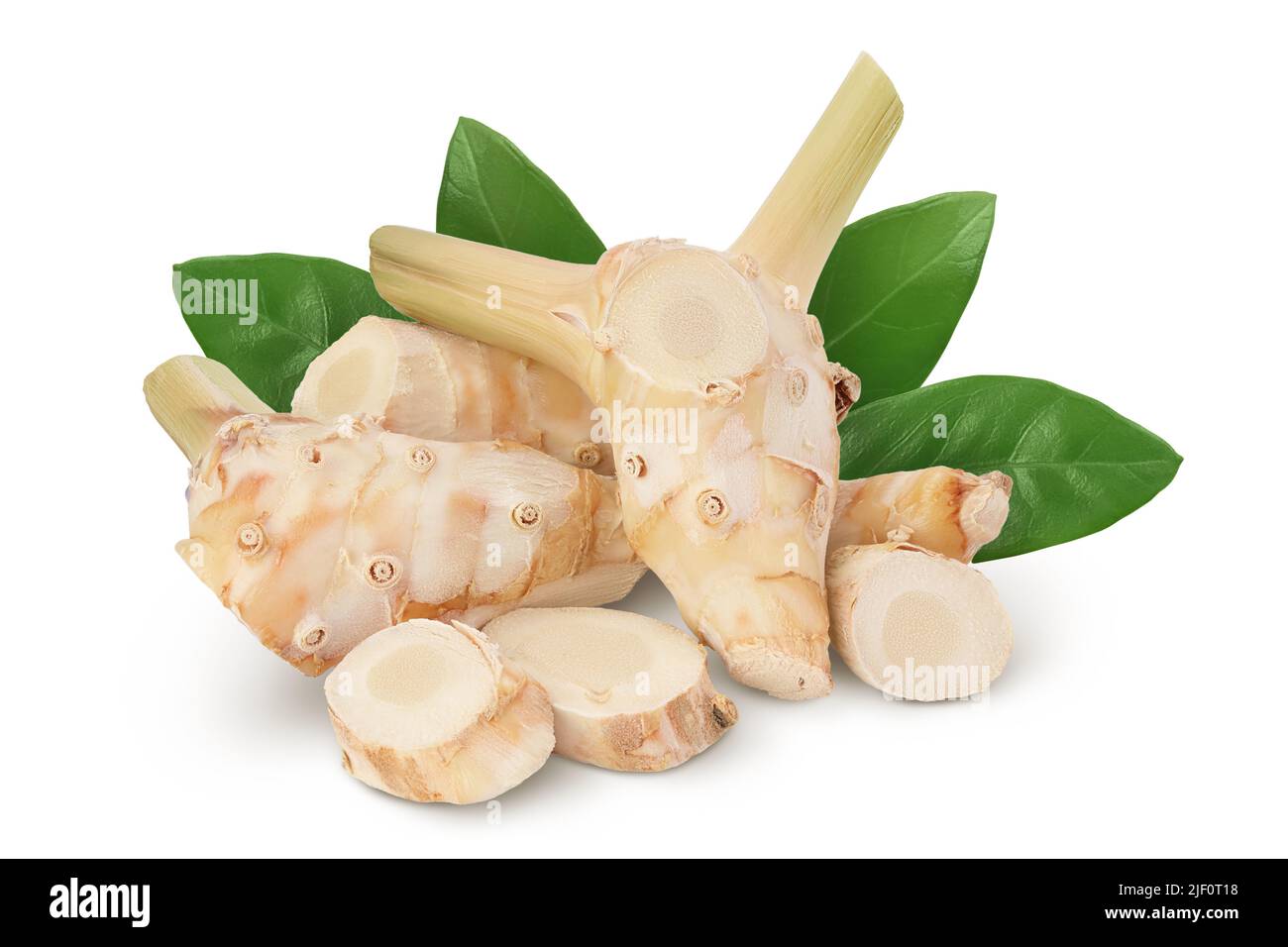 Fresh galangal root with slices isolated on white background with full ...