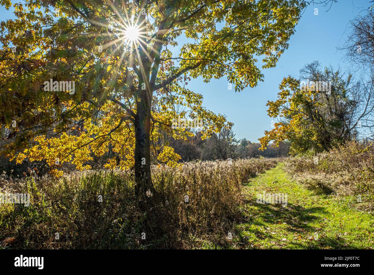 Rural landscape field pasture hi-res stock photography and images - Alamy