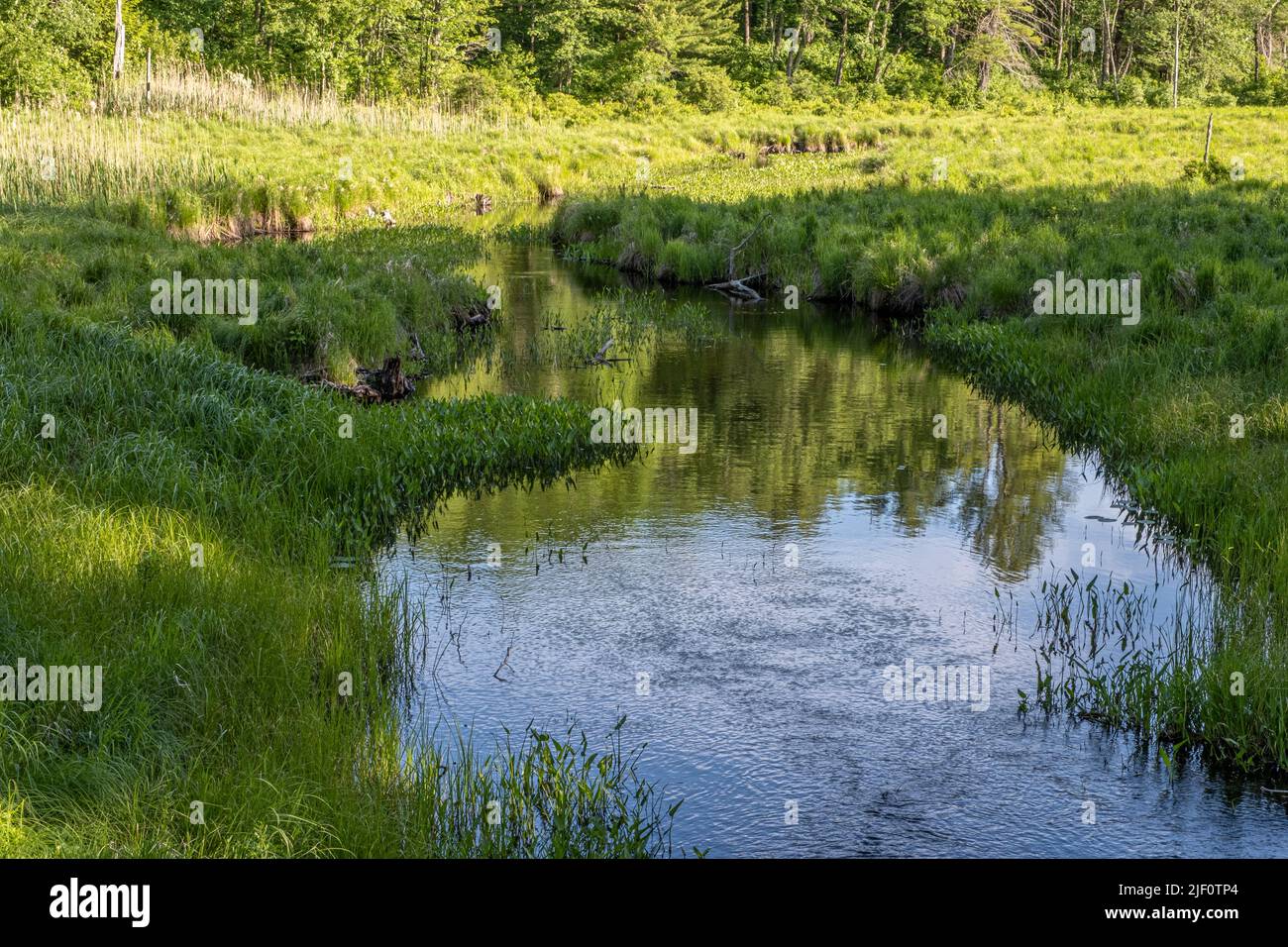 The East Branch of the Swift River in Petersham, Massachusetts Stock ...