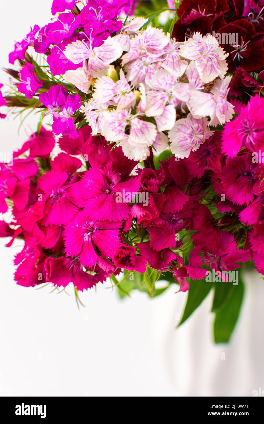 Carnation part of bouquet hi-res stock photography and images - Alamy