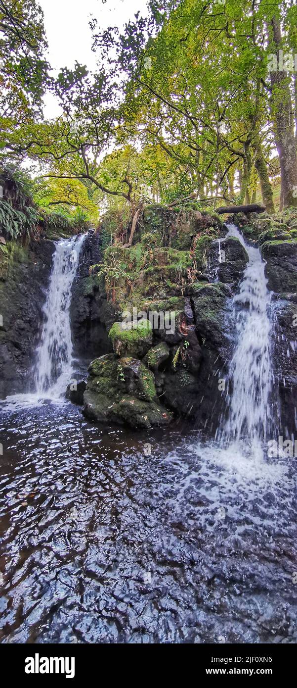 A vertical shot of two waterfalls in Dartmoor National Park, Devon ...