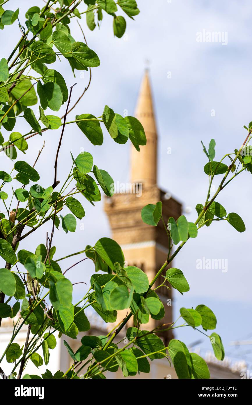 Blurred EL Atik mosque minaret in Setif city. The famous landmark in ...