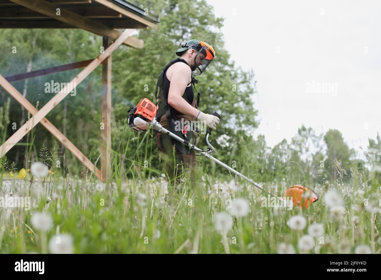 Man mowing tall grass with petrol lawn trimmer in the garden or ...