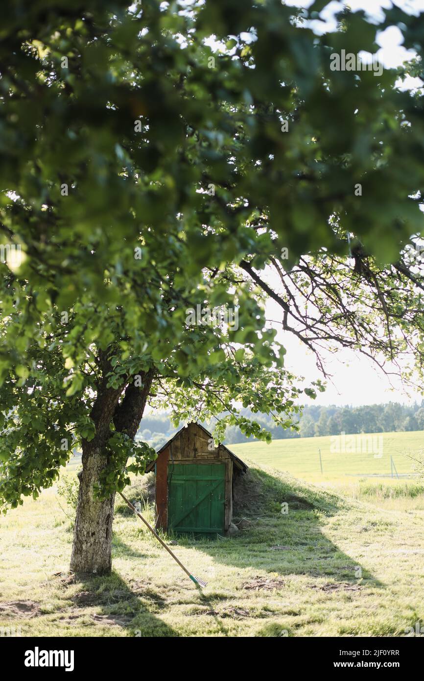 Small wooden house in rural field, view on a farmhouse in countryside ...