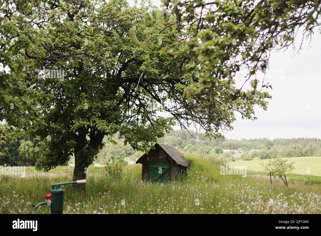Small wooden house in rural field, view on a farmhouse in countryside ...