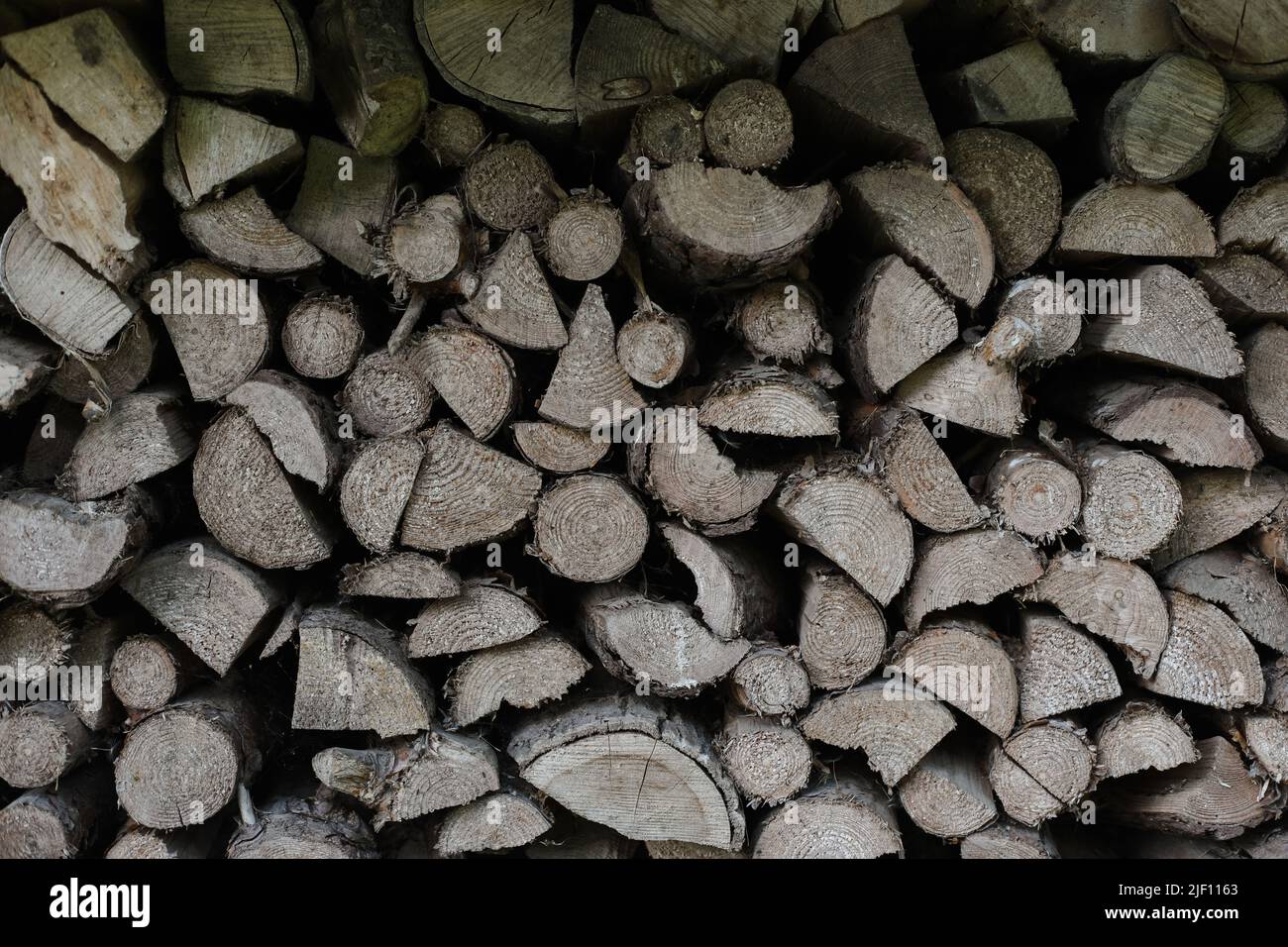 Wallpaper birch cut tree hi-res stock photography and images - Alamy