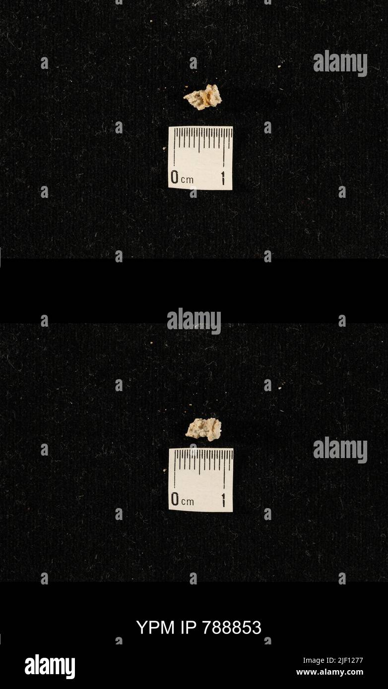 Loss of differentiation hi-res stock photography and images - Alamy