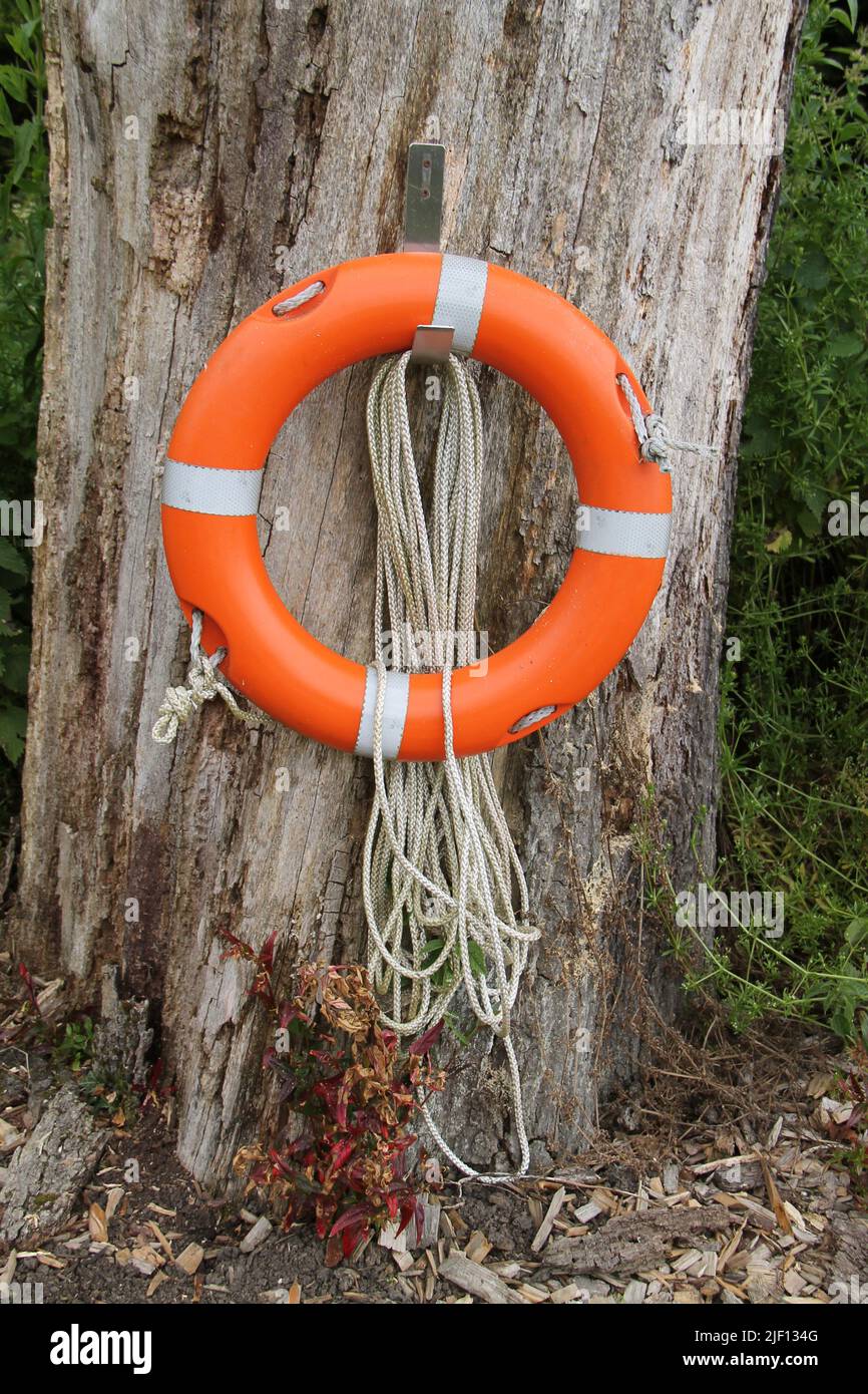 A Lifebelt and Rescue Rope Hanging on an Old Tree Stock Photo - Alamy