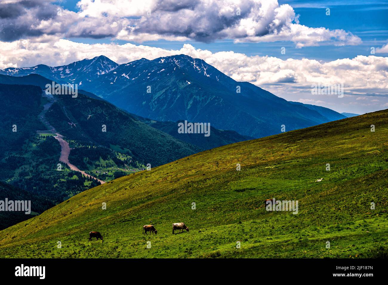 Mount Pietrosul Rodnei, the highest peak of Rodnei Mountains ...