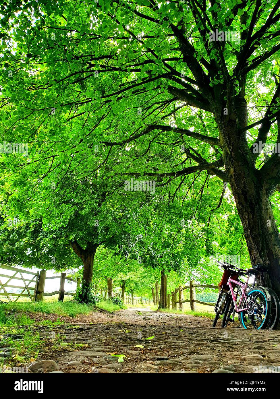Old english bikes hi-res stock photography and images - Alamy