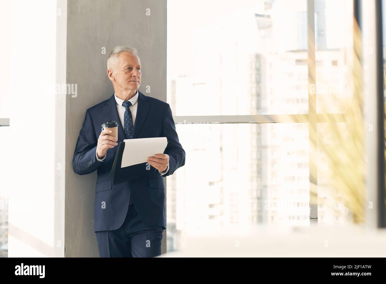 Pensive confident senior gray-haired businessman in stylish suit ...