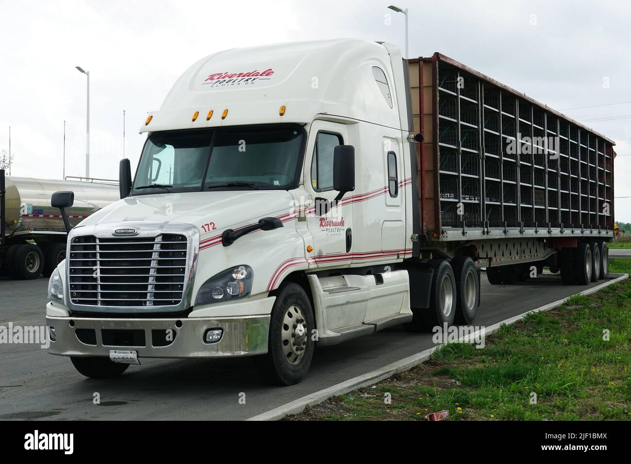 White freightliner hi-res stock photography and images - Alamy