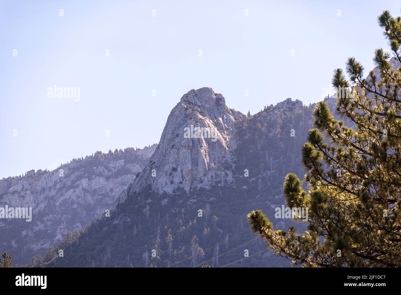 Lily rock hi-res stock photography and images - Alamy