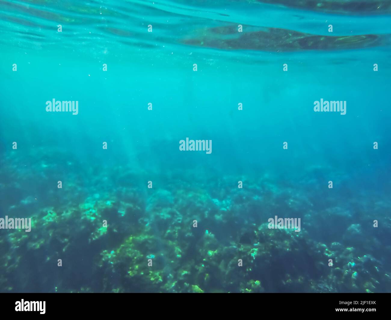 Bright blue underwater image of Pacific ocean water and the coral reef ...