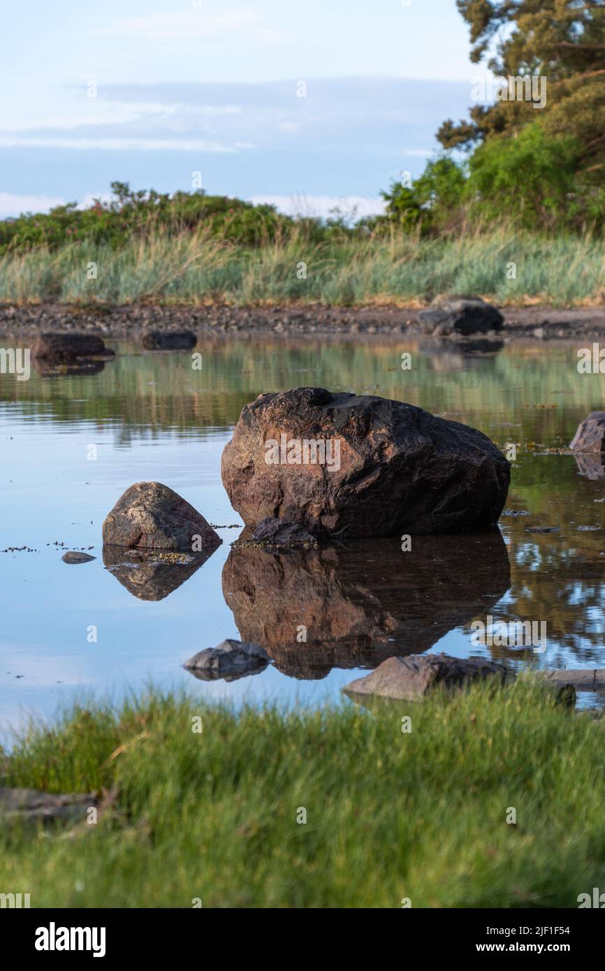 The colors are vibrant on this early summer morning as the tide ...