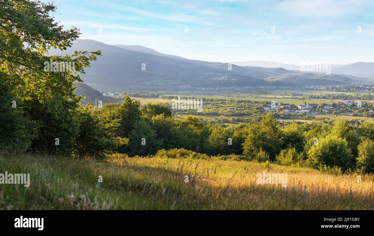 Trees mounting hi-res stock photography and images - Alamy