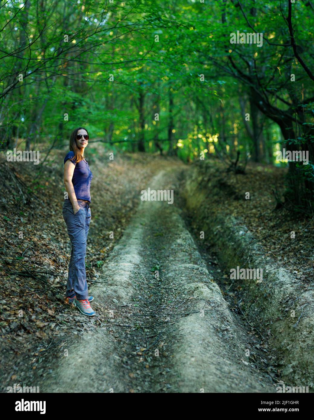 Rutted road hi-res stock photography and images - Alamy