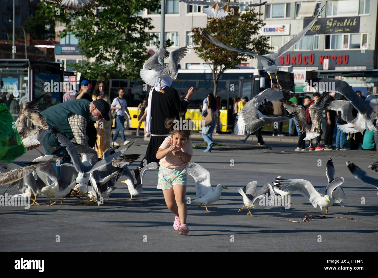Children playing sea turkey hi-res stock photography and images - Alamy